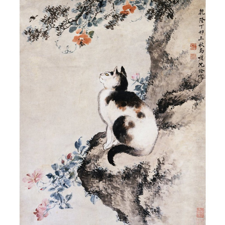 World Menagerie Cat by Shen Quan - Graphic Art | Wayfair.co.uk